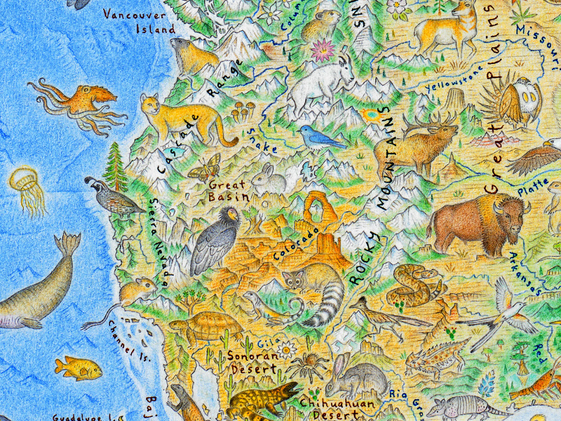 Independent Map Sellers